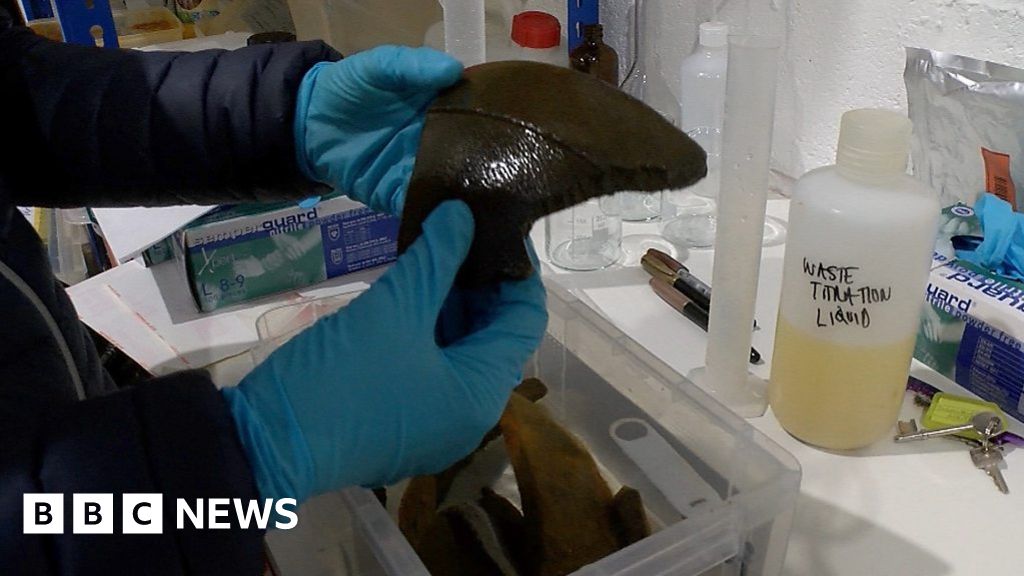 Work to conserve HMS Invincible shipwreck artefacts - BBC News