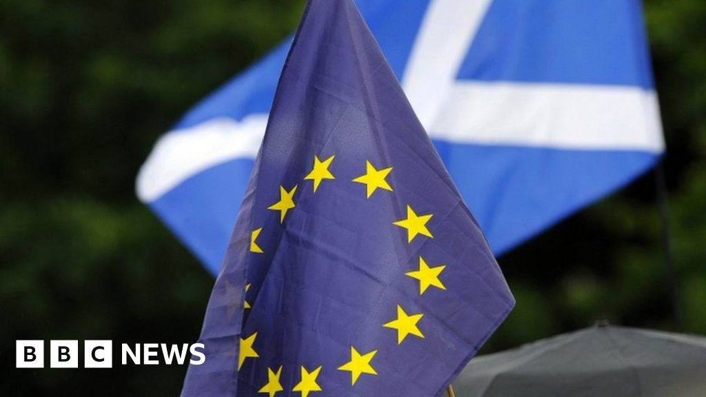 MSPs to seek Brexit answers in Brussels - BBC News