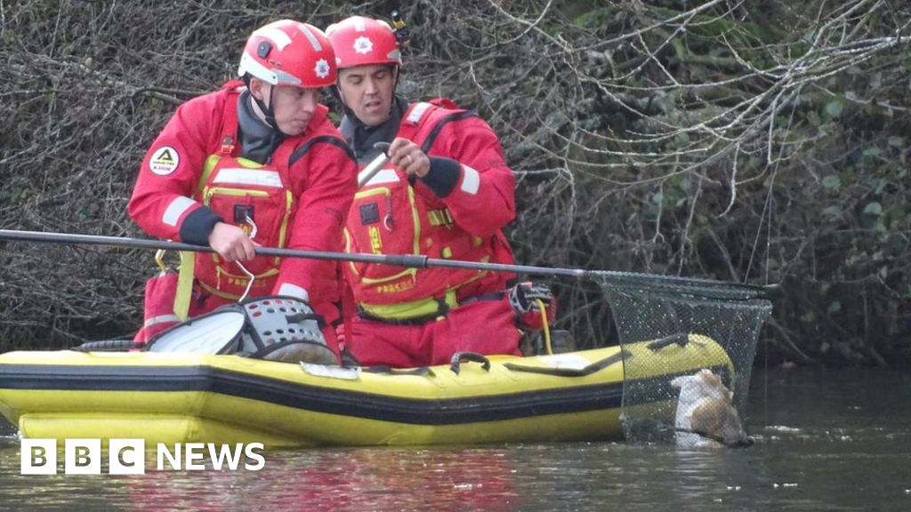 Willow Pit: Fire crews rescue barn owl tangled in fishing wire - BBC News