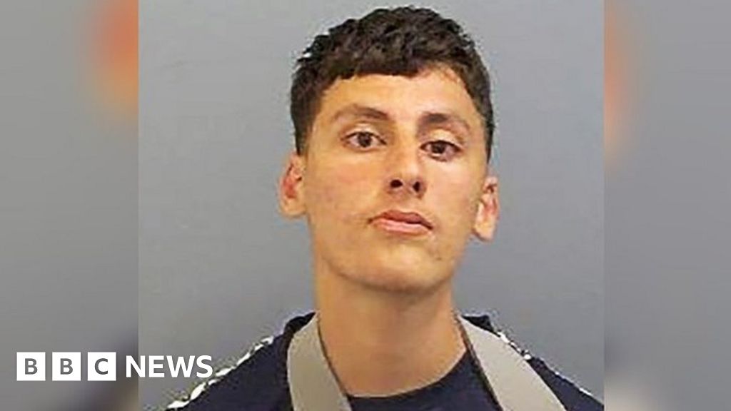 Humza Hussain: Teen jailed for murder outside Luton school