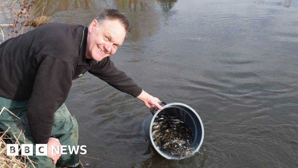 Environment Agency releases 18,000 fish into North East rivers - BBC News