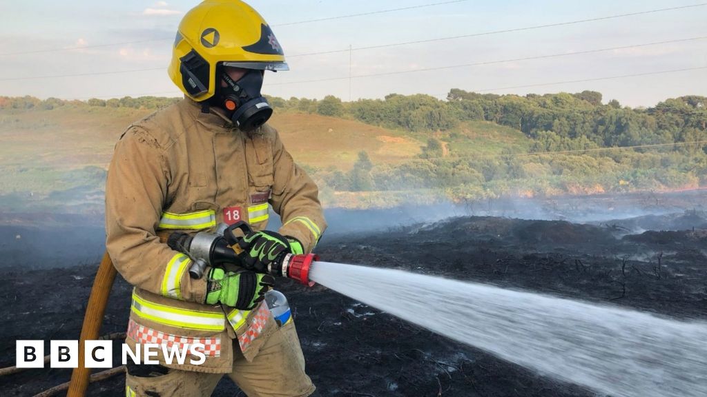 Fire sweeps across Talbot Heath nature reserve - BBC News