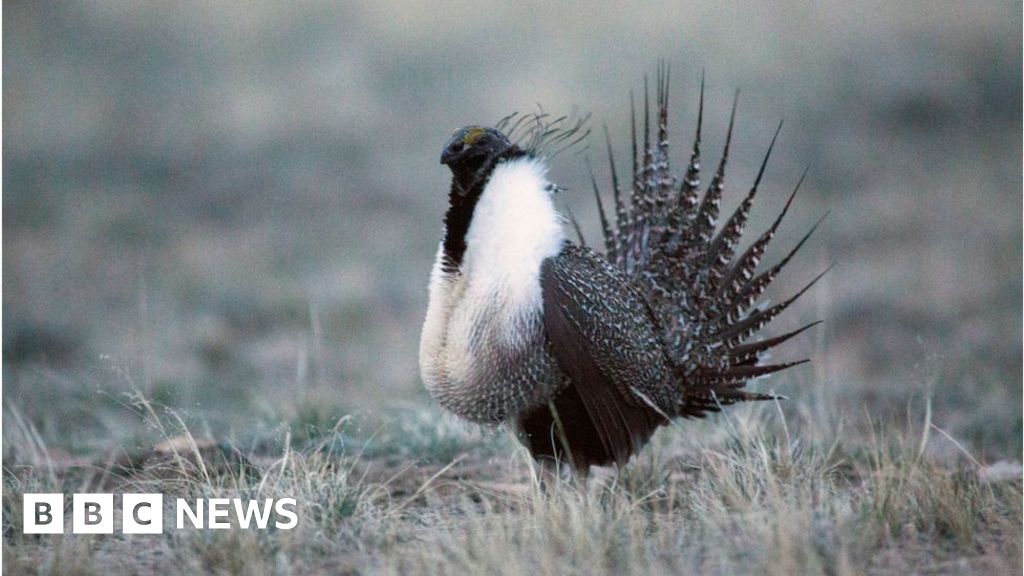 Trump's environmental rollback rolls on - BBC News