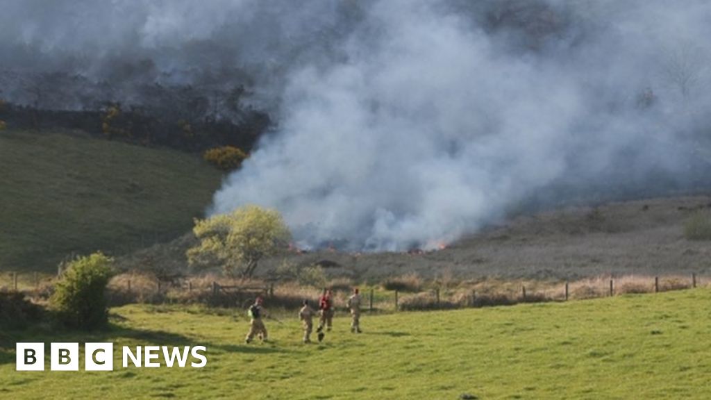 Firefighters tackling 'significant' gorse fire in Newry