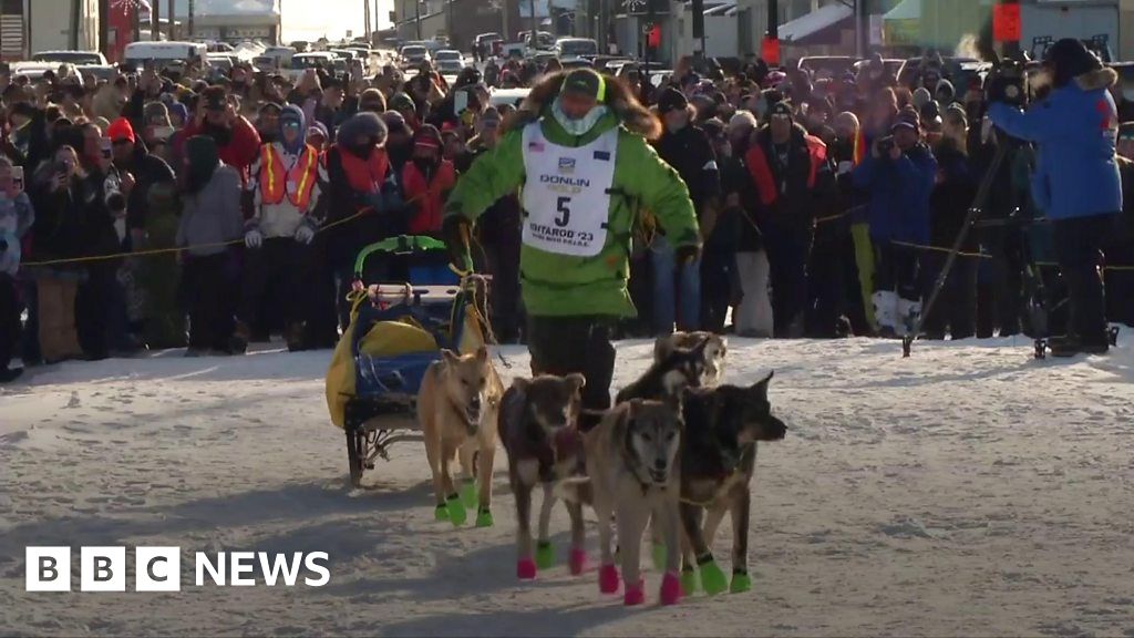 Grandson of the 'Father of Iditarod' wins Alaska dog sled race - BBC News