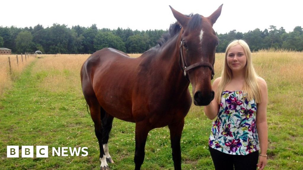 Paralympic horse rider's dreams ended after car crash - BBC News