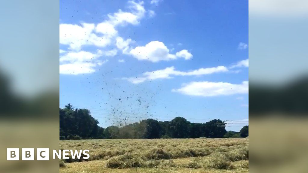 Dust devil lifts hay into air over Hampshire field - BBC News