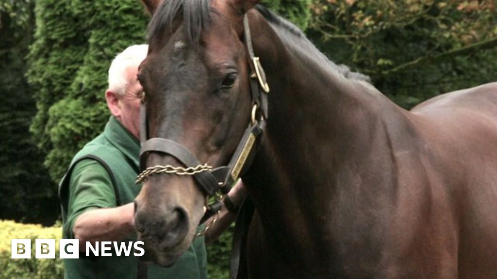 Ireland's unexpected exports: data and stud farming - BBC News