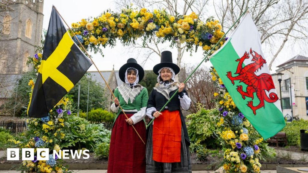 St David's Day: Fresh calls to make 1 March a Welsh holiday - BBC News