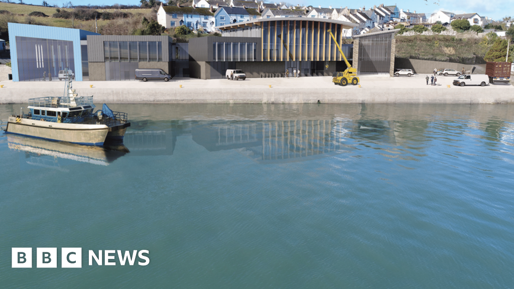 Large hydrogen plant proposed at Devon green energy hub - BBC News