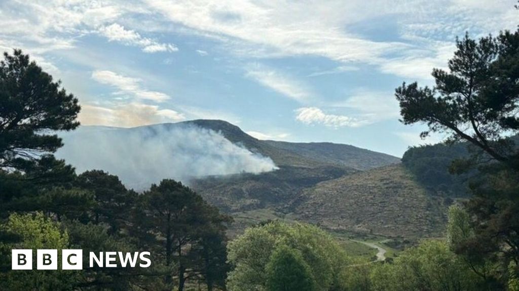 Mourne Mountains: Firefighters deal with large gorse fire in Hilltown ...