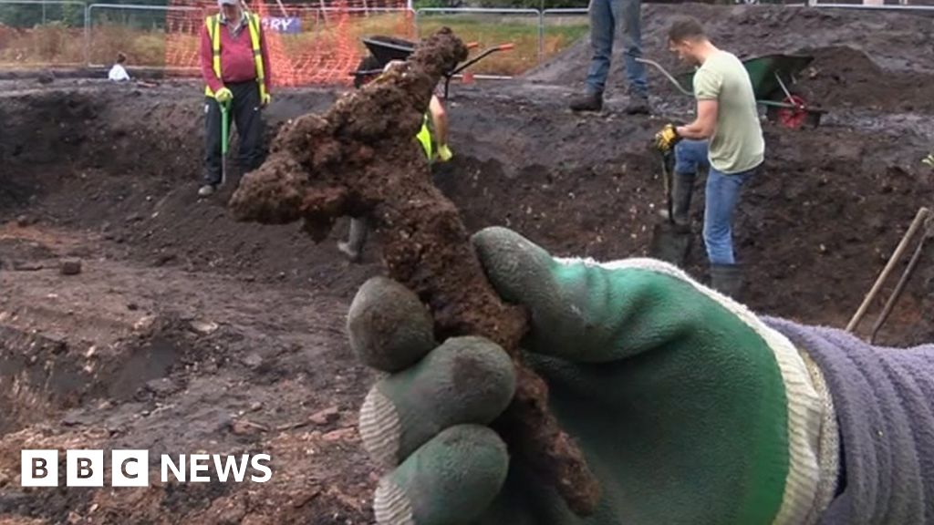 Carlisle Roman bath house archaeological dig begins - BBC News