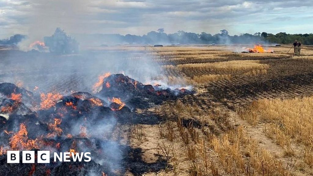 Three fields destroyed in large Ardleigh fire - BBC News