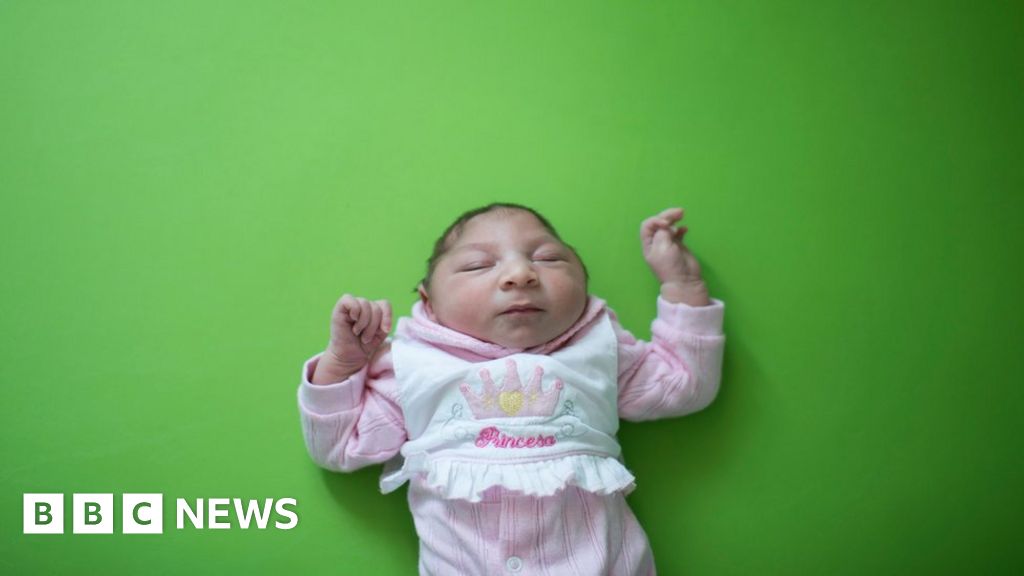 Zika Virus Rumours And Theories Fuel Information War Bbc News