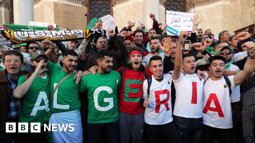 Algerian protests against President Bouteflika 'biggest yet' - BBC News