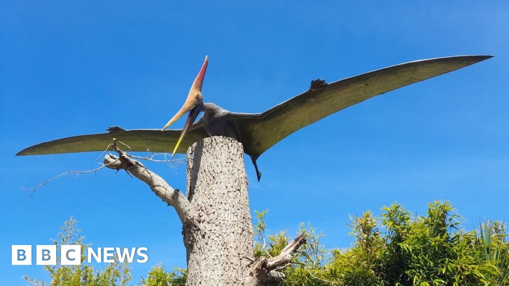 Attractions urged to reinvest to draw in tourists to Norfolk - BBC News