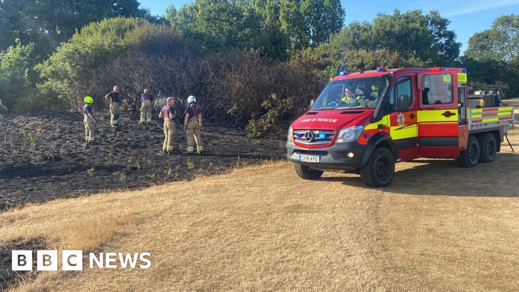 Essex fire bosses issue BBQ warning as dry spell continues - BBC News