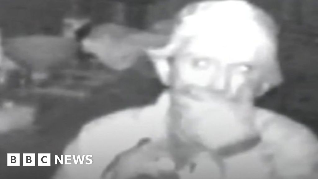 CCTV shows 'Europe's most prolific' thief stealing safe - BBC News