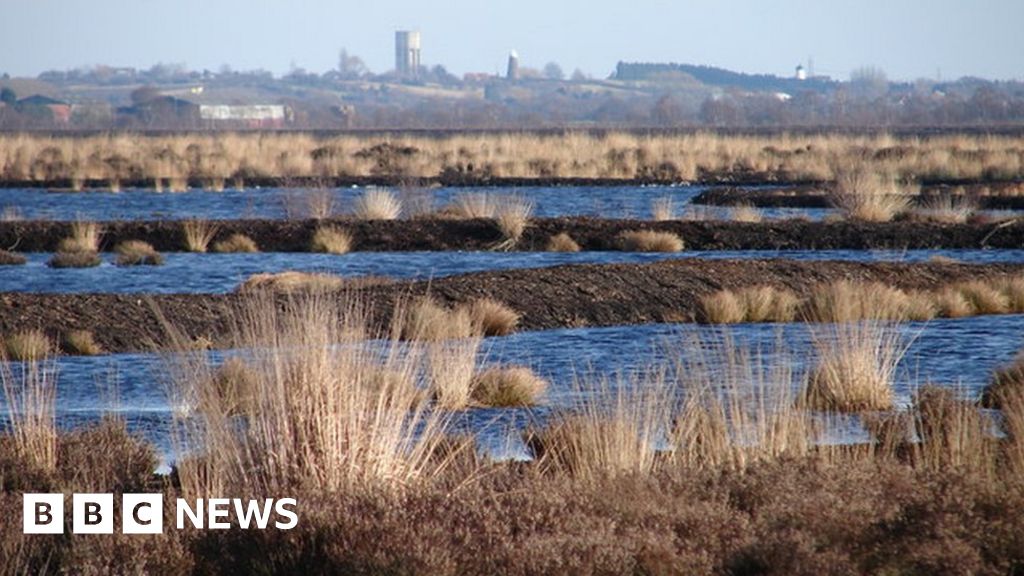 Isle of Axholme: Official beauty spot status bid for historic landscape ...