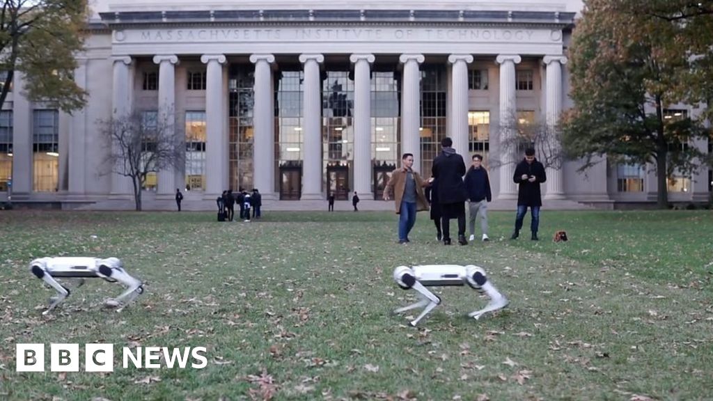 The 'indestructible' robots which do backflips - BBC News