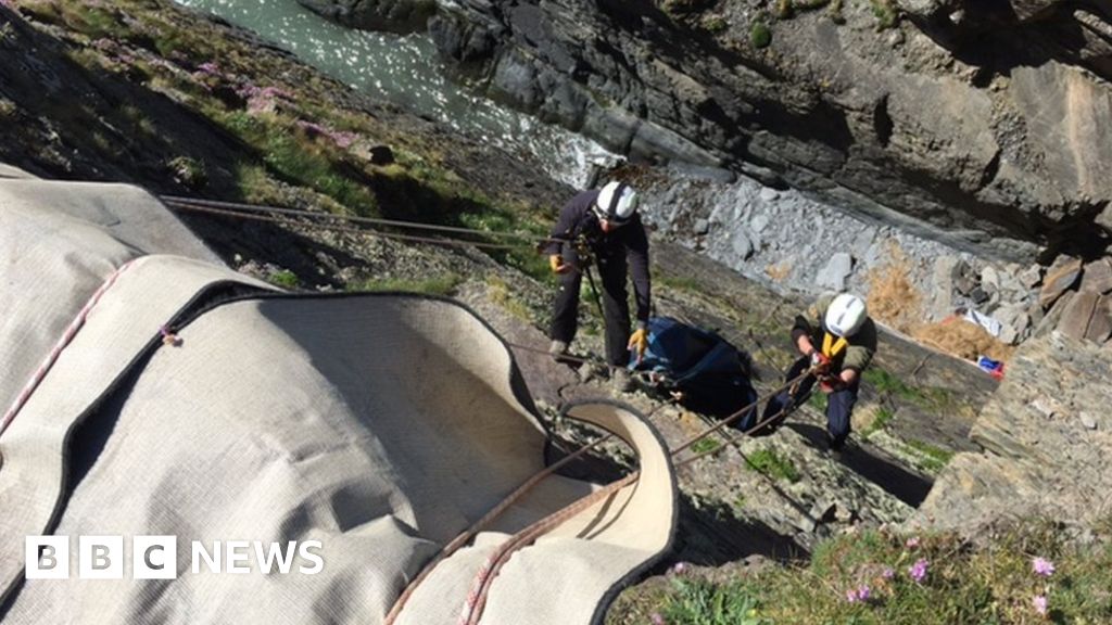 Stranded pony winched up 80ft cliff in Gwbert rescue - BBC News
