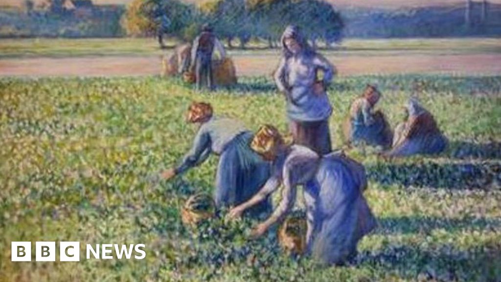 Pissarro's Picking Peas returned to Jewish owners