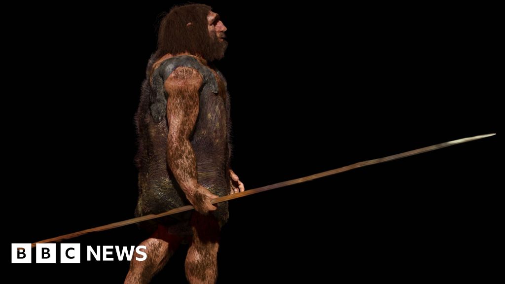 Neanderthals 'could kill at a distance' - BBC News