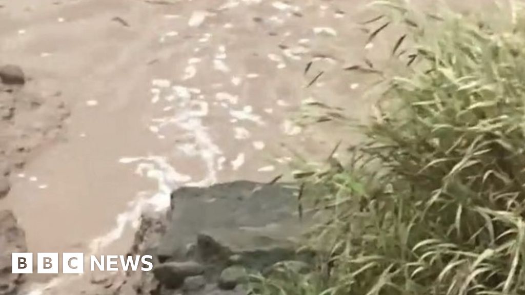 River Tyne probe as 'sulphur-stinking' waste seen in river - BBC News