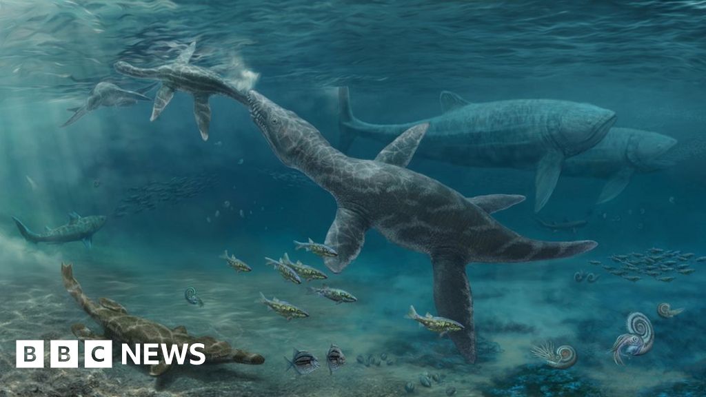 Fossil teeth shed light on Jurassic marine reptiles