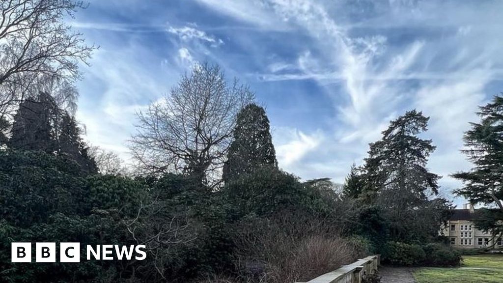 England's Big Picture: 9 January - 15 January 2023 - BBC News