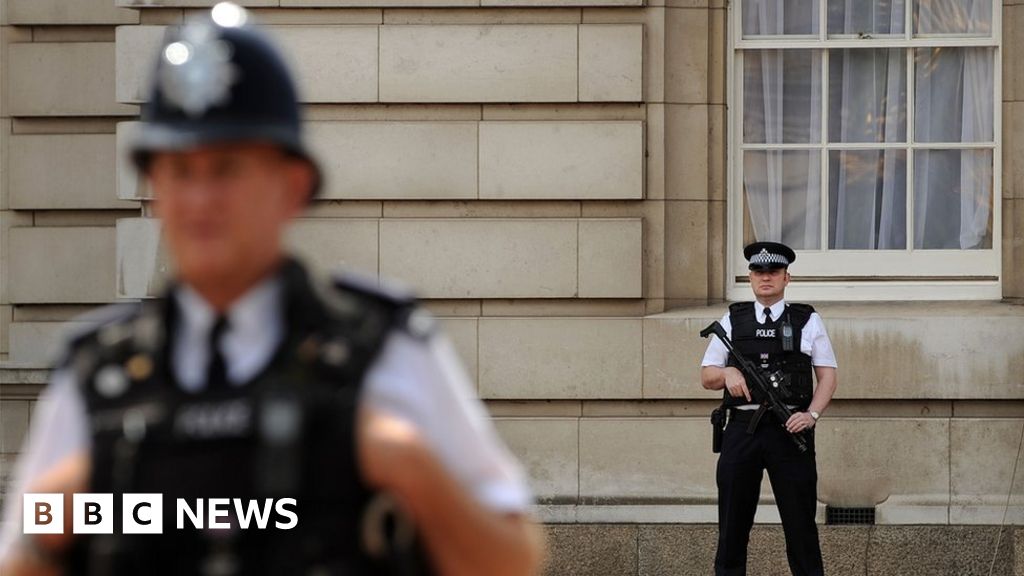 Homeless Buckingham Palace trespasser Steven Lawlor jailed - BBC News