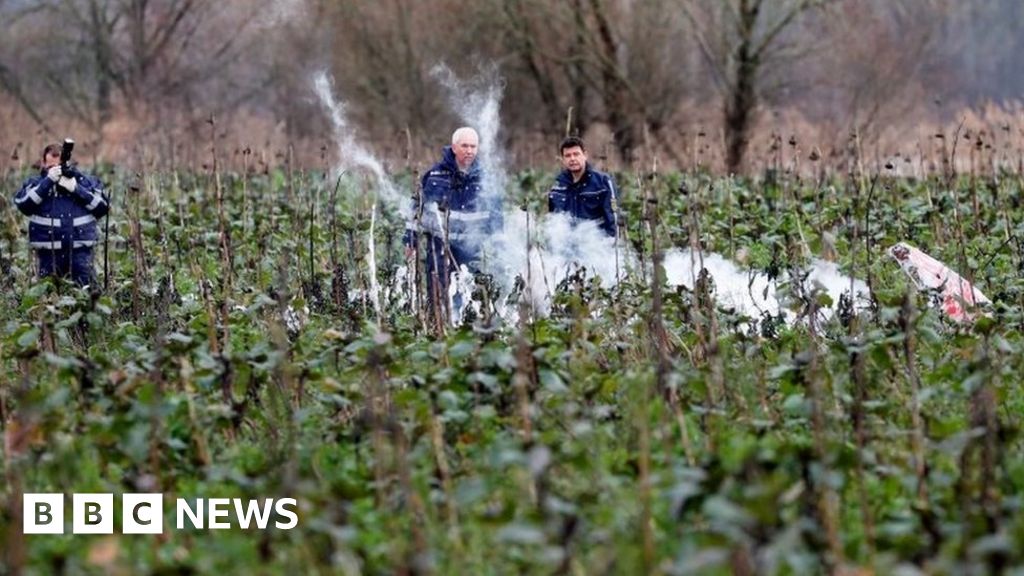 Germany: Plane and helicopter crash in mid-air, killing four - BBC News