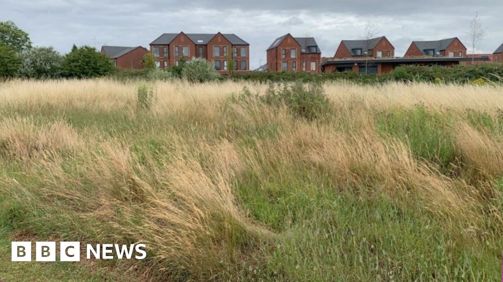 Filwood community sports ground application granted - BBC News