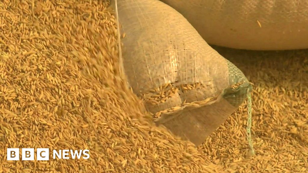 Nigeria's plans to stop importing rice - BBC News