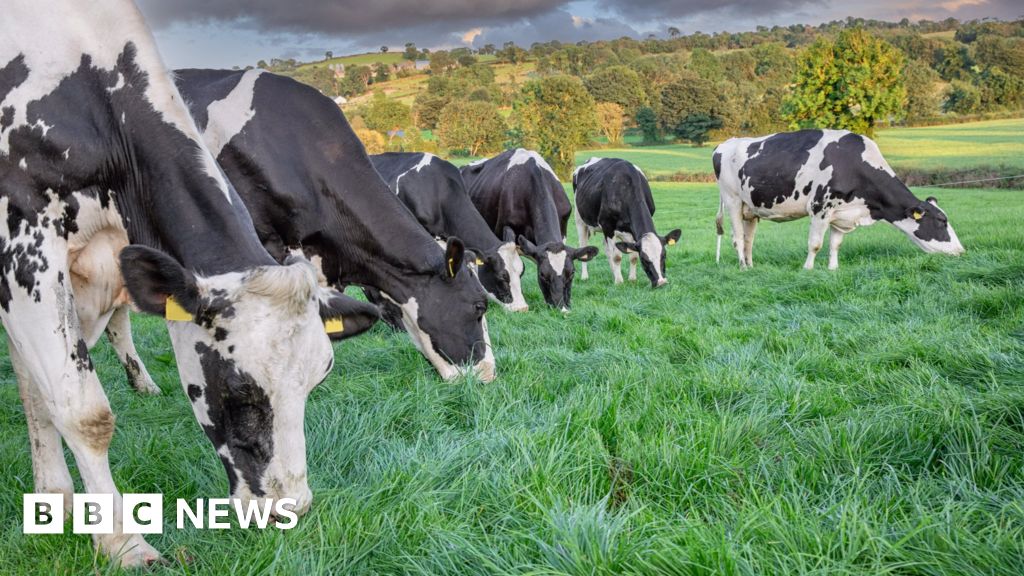 Farmers' pay: New payment schemes for NI farms announced - BBC News