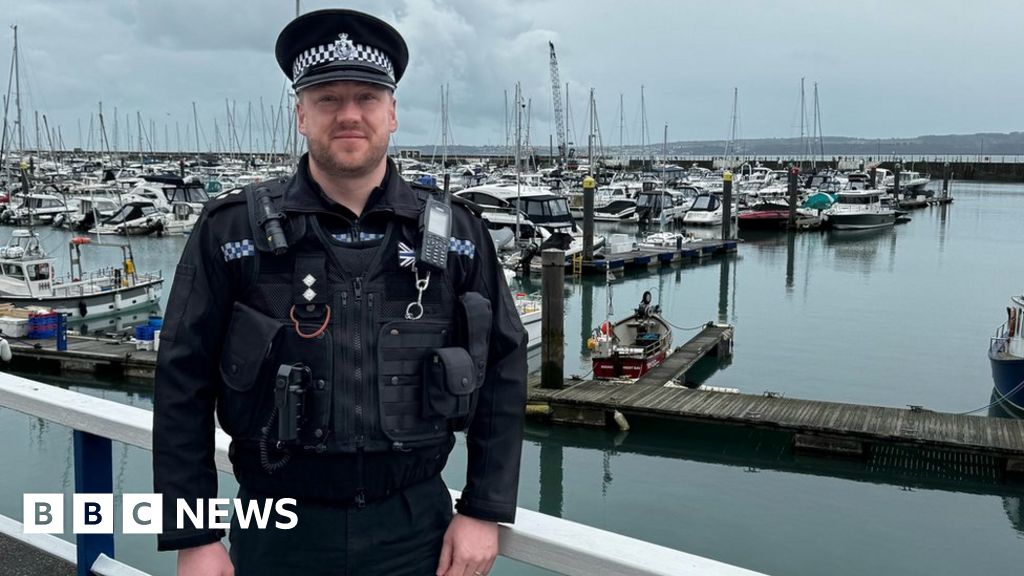 Torquay's new inspector highlights main crime priorities - BBC News