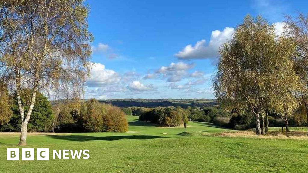 Allestree Park: Biggest urban rewilding project gets £1.1m boost - BBC News