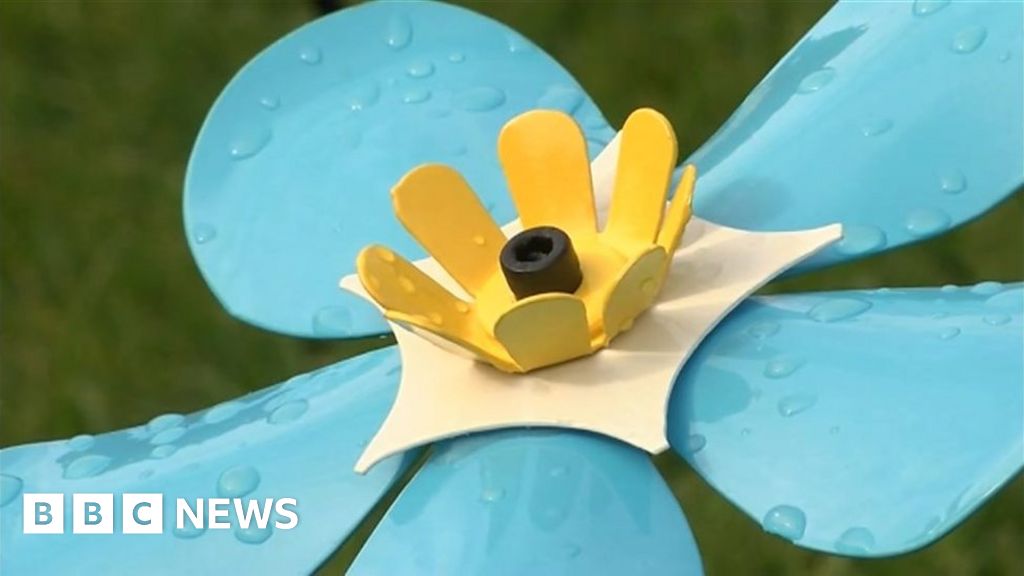 Forget-me-not display springs up in Shropshire - BBC News