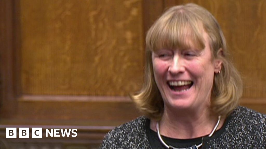 Joan Ryan MP on misleading Parliament over panto performance - BBC News