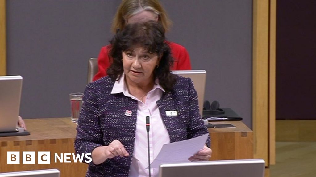 Brexit Party politician Caroline Jones quits Welsh Parliament group ...