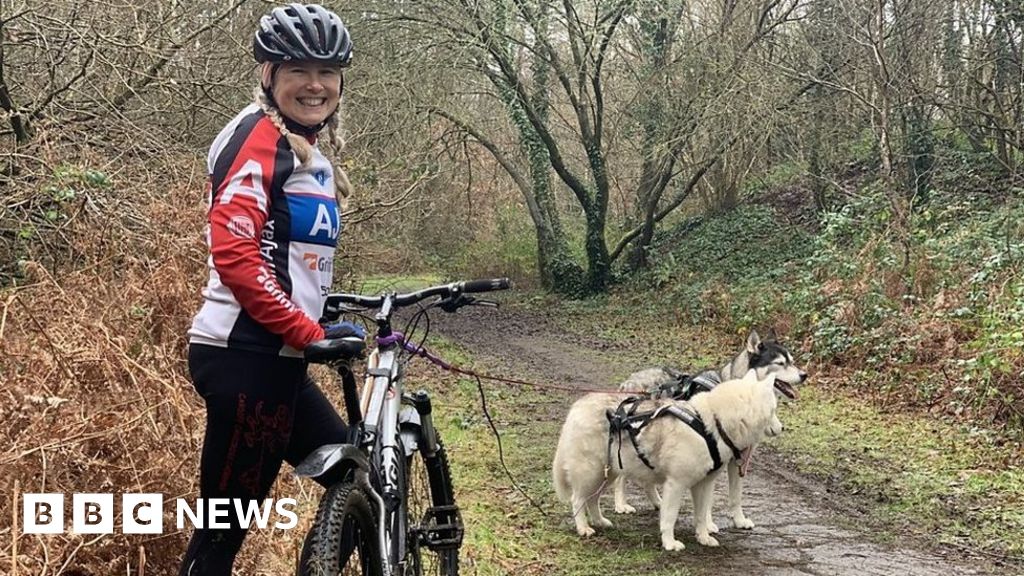 Bikejoring: The sport which combines dogs and cycling - BBC News