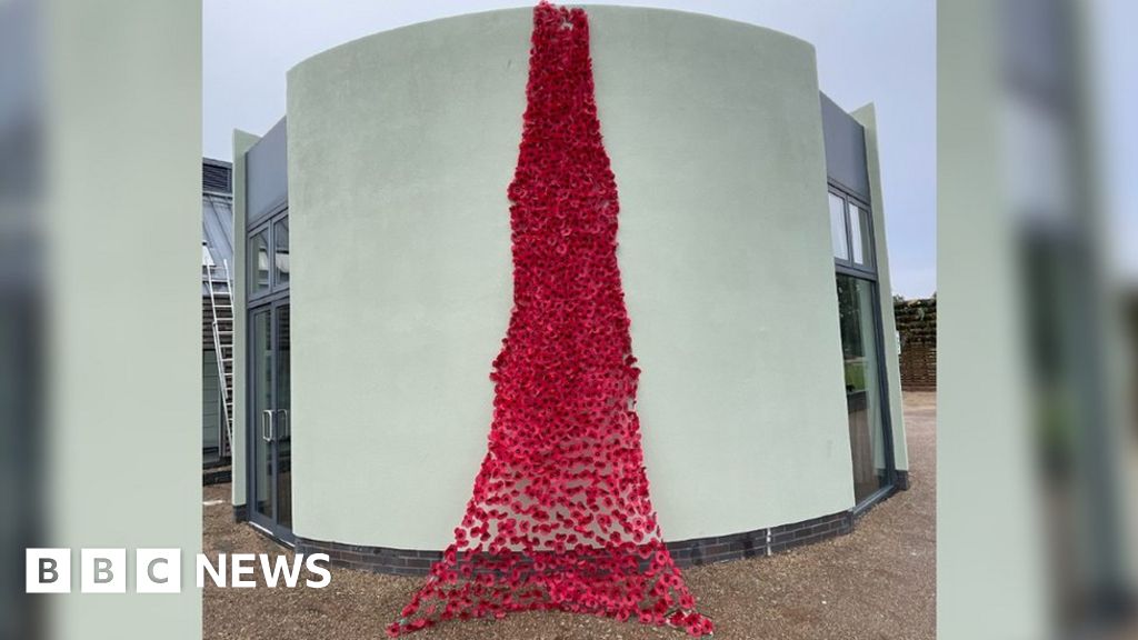 Woodley: Waterfall of poppies created to mark Remembrance - BBC News