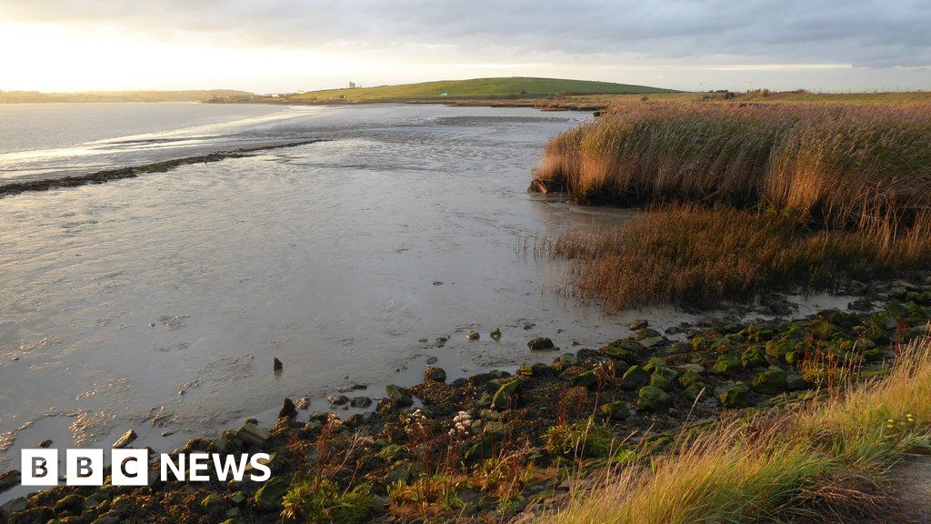 Purfleet's name-change will put the Essex town back 'on the map' - BBC News