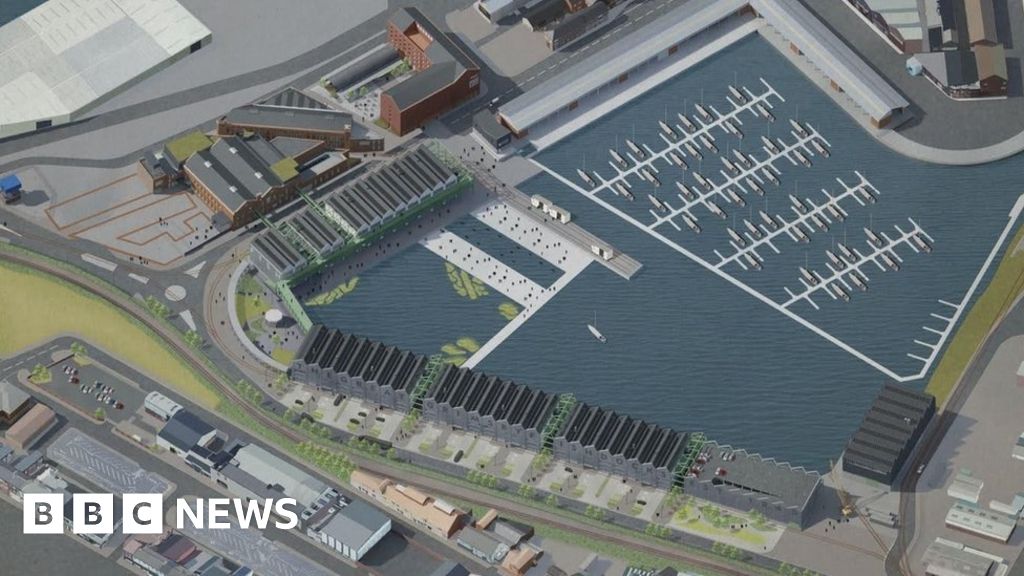 Plans submitted for open water swimming at Grimsby Docks - BBC News