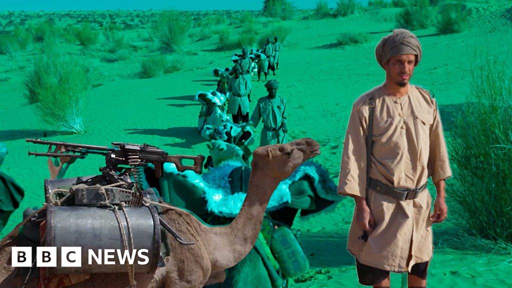 The Meharists: Mauritania's camel cavalry fighting jihadists in Sahel