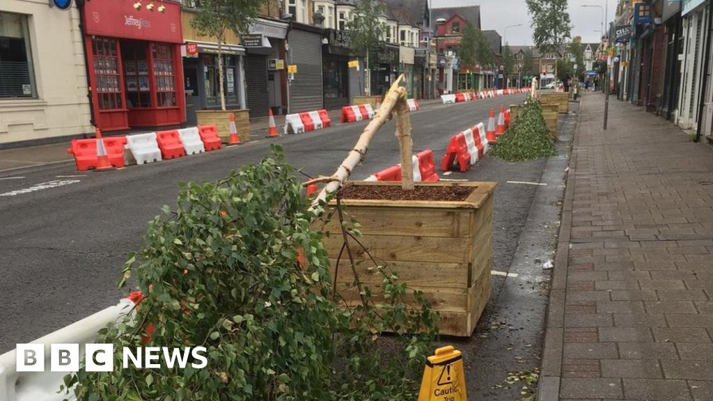 Cardiff trees planted to aid social-distancing vandalised