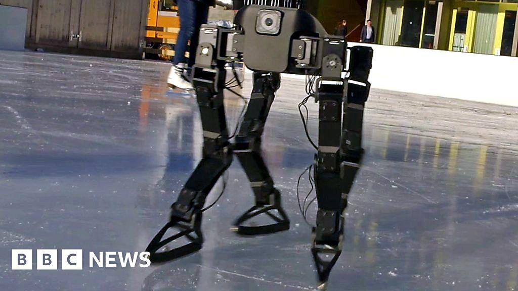3-D printed robot taught itself to skate!