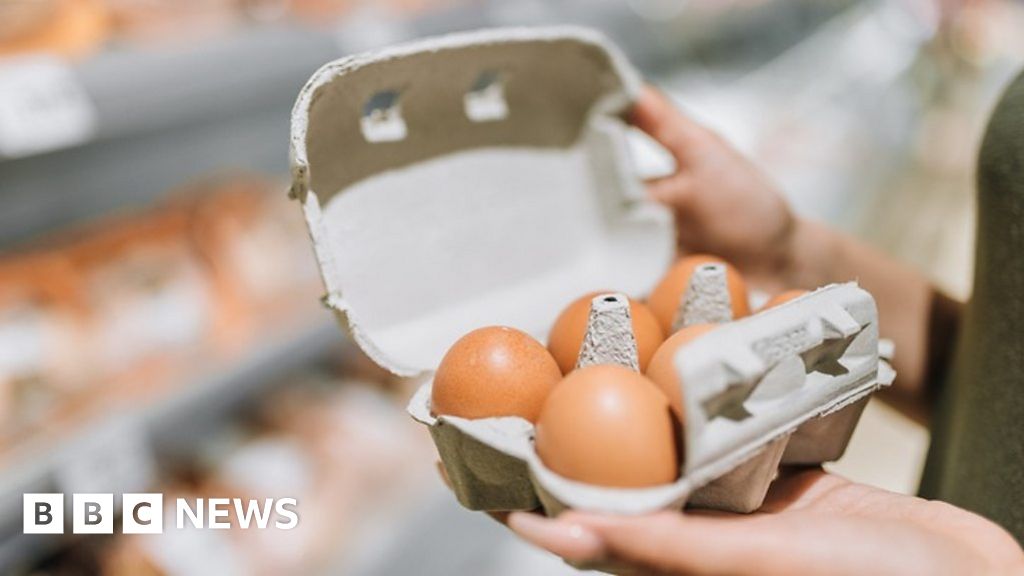 How the egg box became a million dollar idea - BBC News