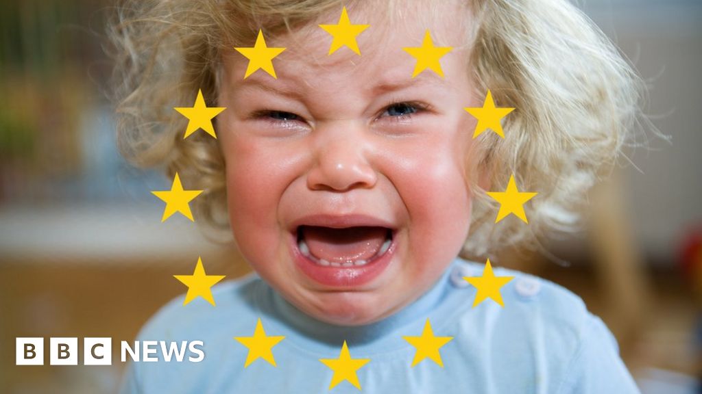 Vote Remain? This is how not to be a sore Brexit loser - BBC News