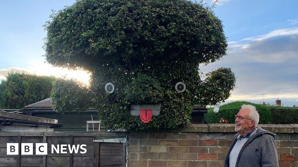 Peterborough mushroom man bush becomes local landmark